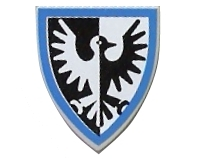Black Falcons Shield – Bricker King